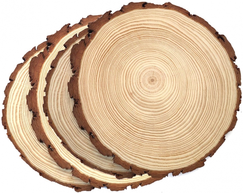 Round Natural Wood Log Slice : Ø 12-14 cm | Слънчоглед